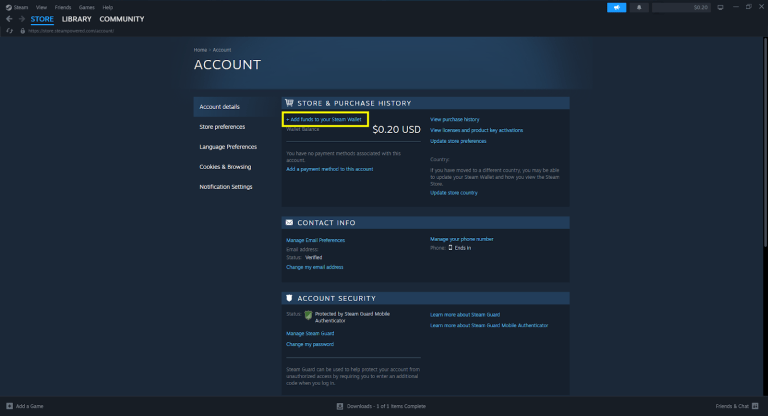 How to Use a Visa Gift Card on Steam (Step-by-Step Guide) - TakeOwn